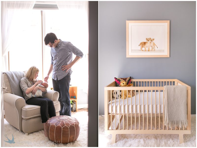 Nolan James | Chicago Newborn Photography » Heather Cook Elliott ...